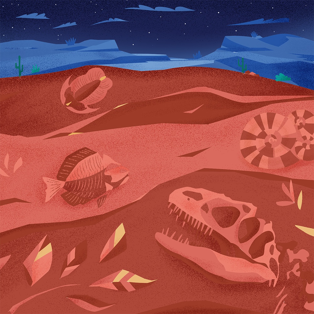 Bedtime Story | Fossils, Rocks & Time | BetterSleep