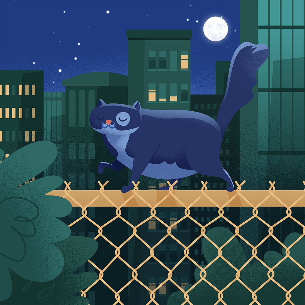 Bedtime Story | Gizmo the House Cat | BetterSleep