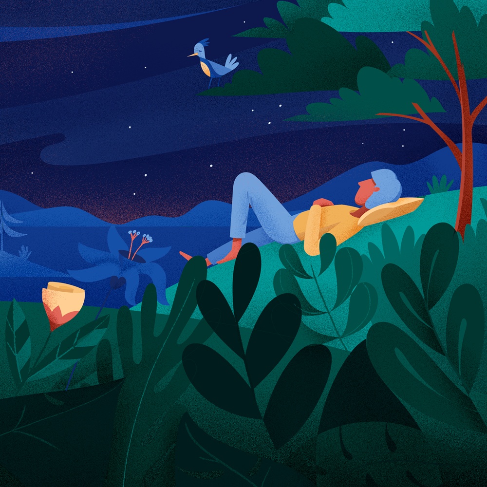 Guided Meditation | Dropping into the Present Moment